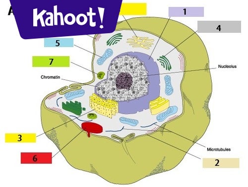 Cell Structure & Function - Chapter 1 - Kahoot! Quiz