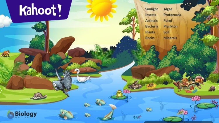 Ecosystems - Kahoot! Quiz