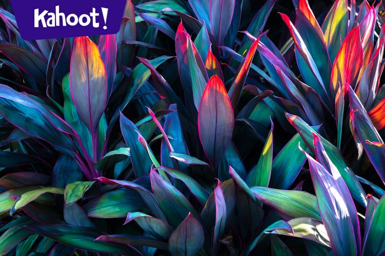 Plant Knowledge Challenge - Kahoot! Quiz