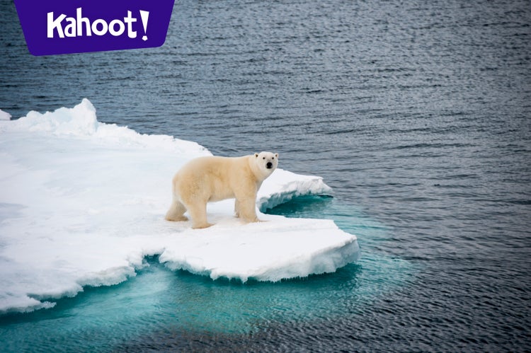 Animal and Habitats - Kahoot! Quiz