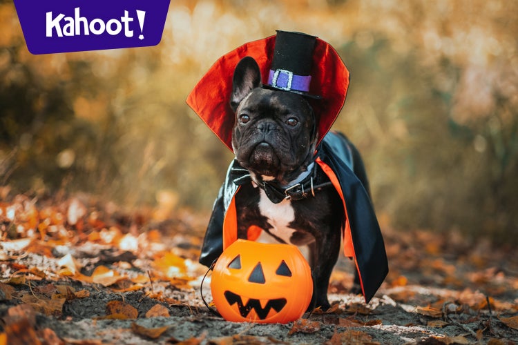 Lesson 3 Dogs - Review - Kahoot! Quiz