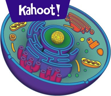 Cell Structure & Cell Processes - Kahoot! Quiz