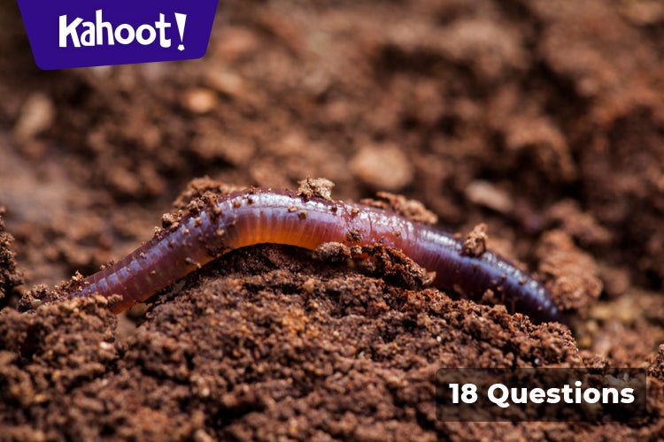 Year 7 Science Revision Classification - Kahoot! Quiz