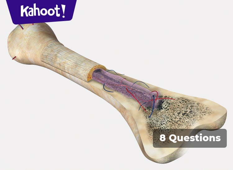 IHB: Skeletal System - Kahoot! Quiz