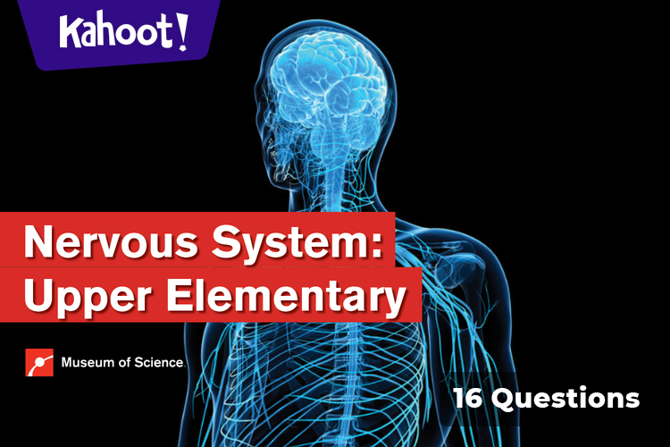 Nervous System: Upper Elementary - Kahoot! Quiz