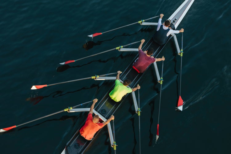 IB Biology HL Theme C: Interaction & Interdependence - Kahoot! Course