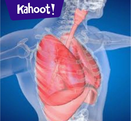Respiratory system - Kahoot! Quiz