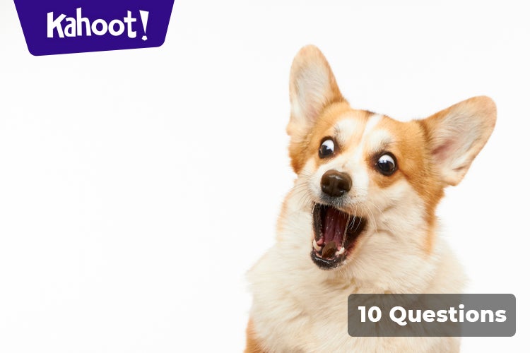 The best Dogman Kahoot! - Kahoot! Quiz