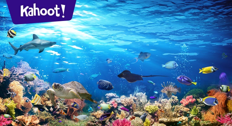 Sea creatures - Kahoot! Quiz