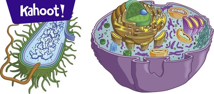 Cell structure and Function G6 - Kahoot! Quiz