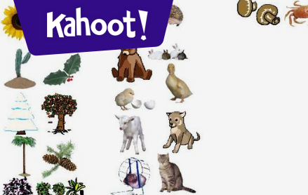 Les habitats et les communautés - producteur, consommateur, ou ...