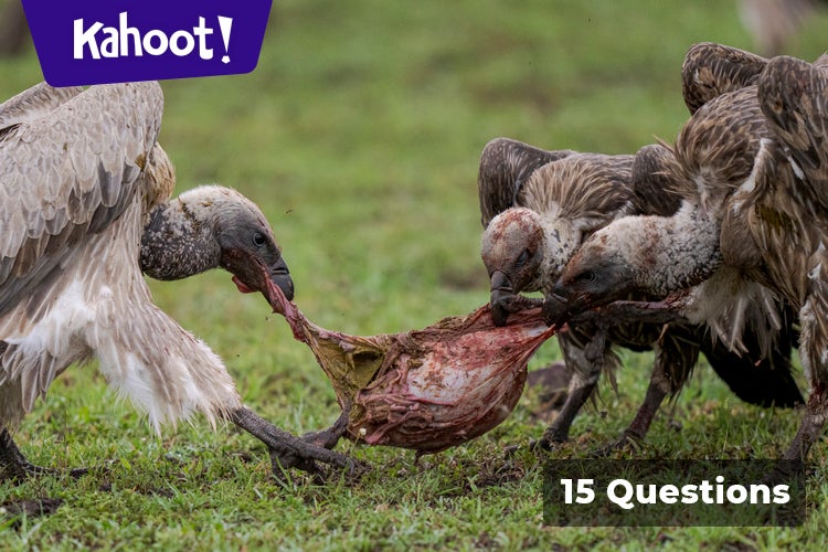 Vulture Feeding Behavior - Kahoot! Quiz