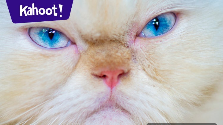 Sommer D Tel 2 - Kahoot! Quiz