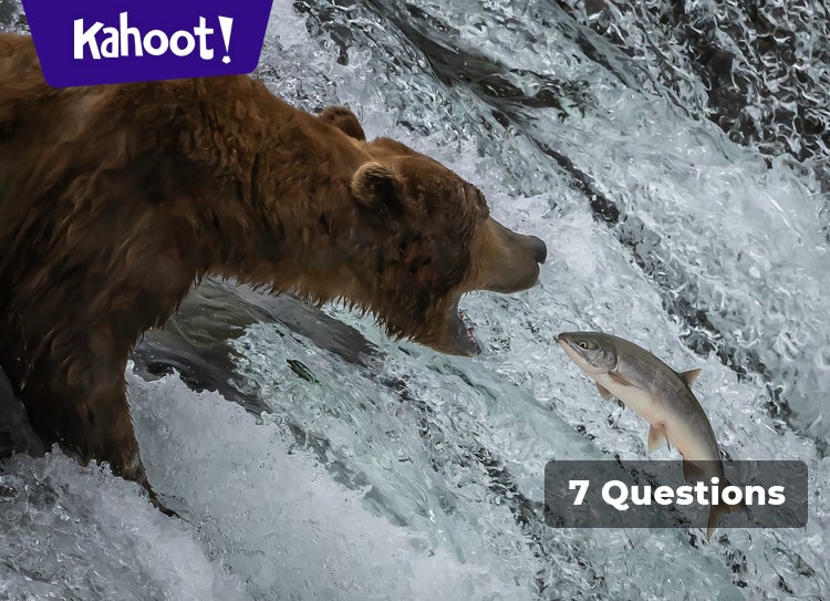 Predator Prey Cycle - Kahoot! Quiz