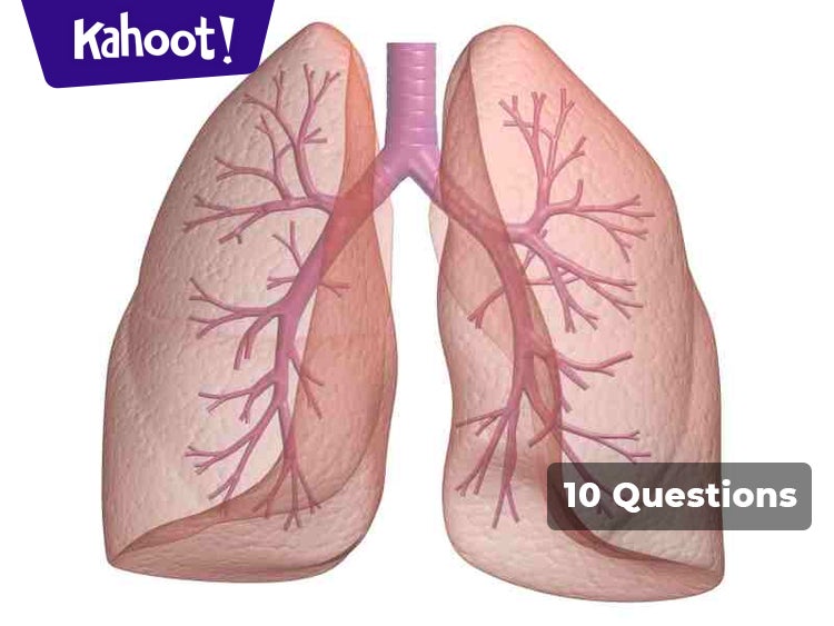 NR329 Respiratory Unit - Kahoot! Quiz