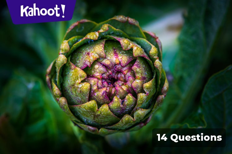 Brain teaser - Kahoot! Quiz