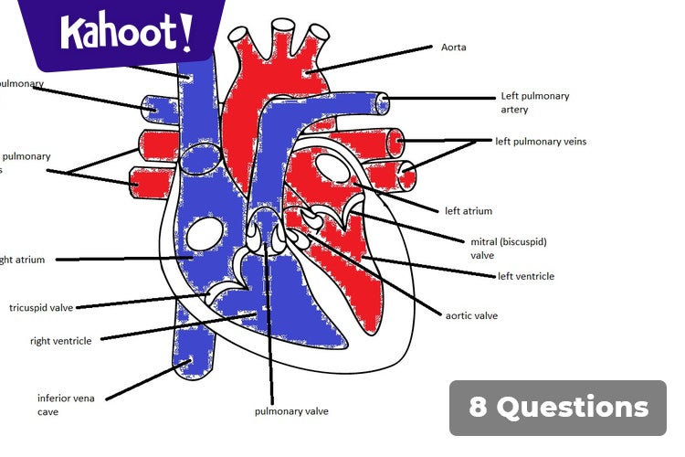 Pathway of blood through the heart - Kahoot! Quiz
