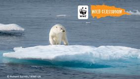 Climate change - Kahoot! Course