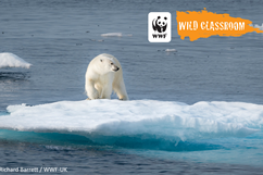 Climate change - Kahoot! Course