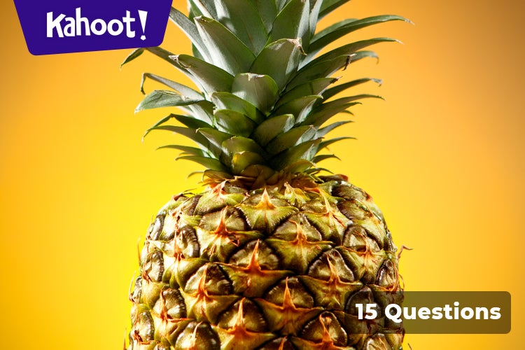 WH Questions Practice - Kahoot! Quiz