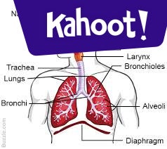 Respiratory System - Kahoot! Quiz