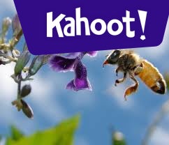 8B Reproduction in plants - Kahoot! Quiz