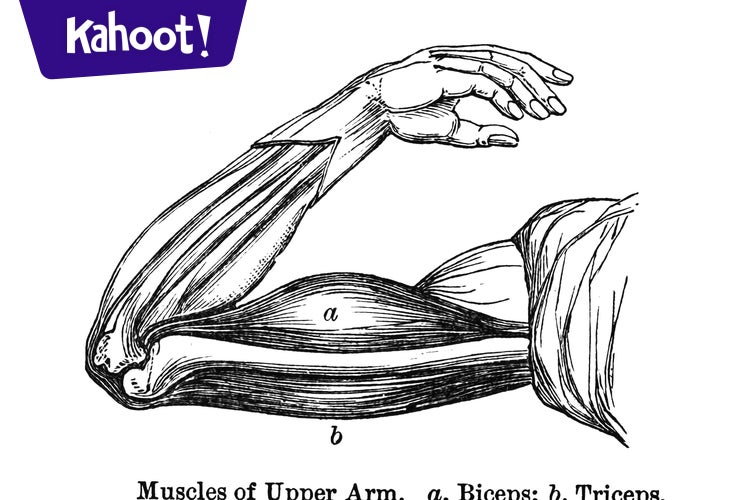 Human Anatomy (Final Practical) for Mortuary Science - Kahoot! Quiz
