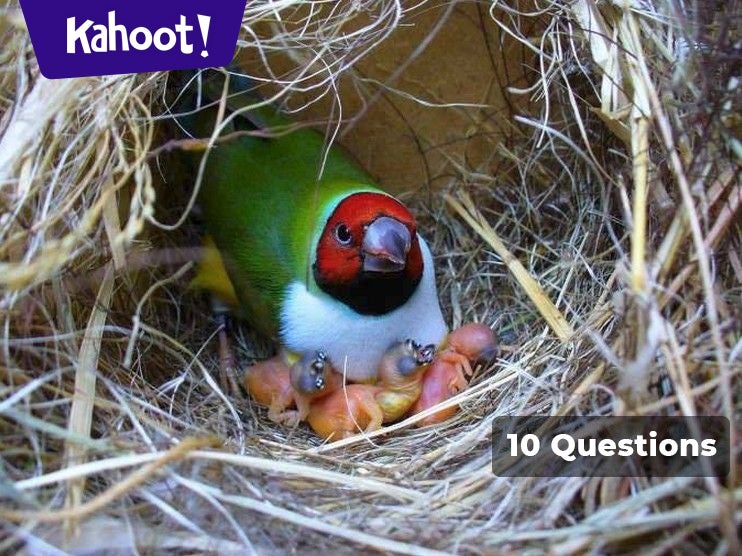 ANM102 - Conservation - QUIZ LECTURE 5 - Kahoot! Quiz