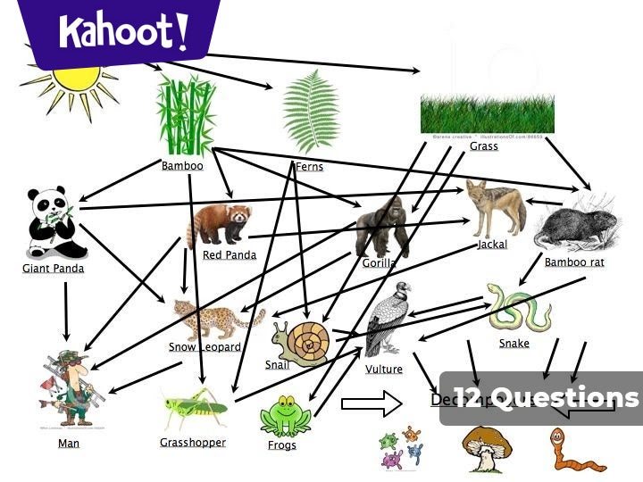 Food Chains and Food Webs - Kahoot! Quiz