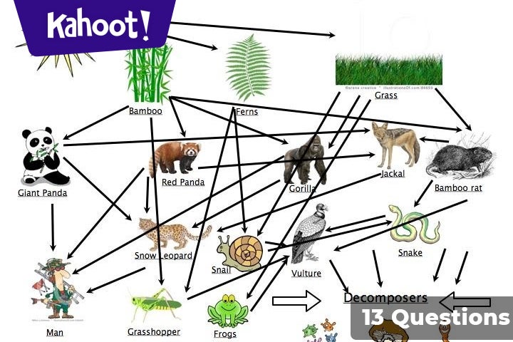 2.9C Food Chains and Food Webs - Kahoot! Quiz