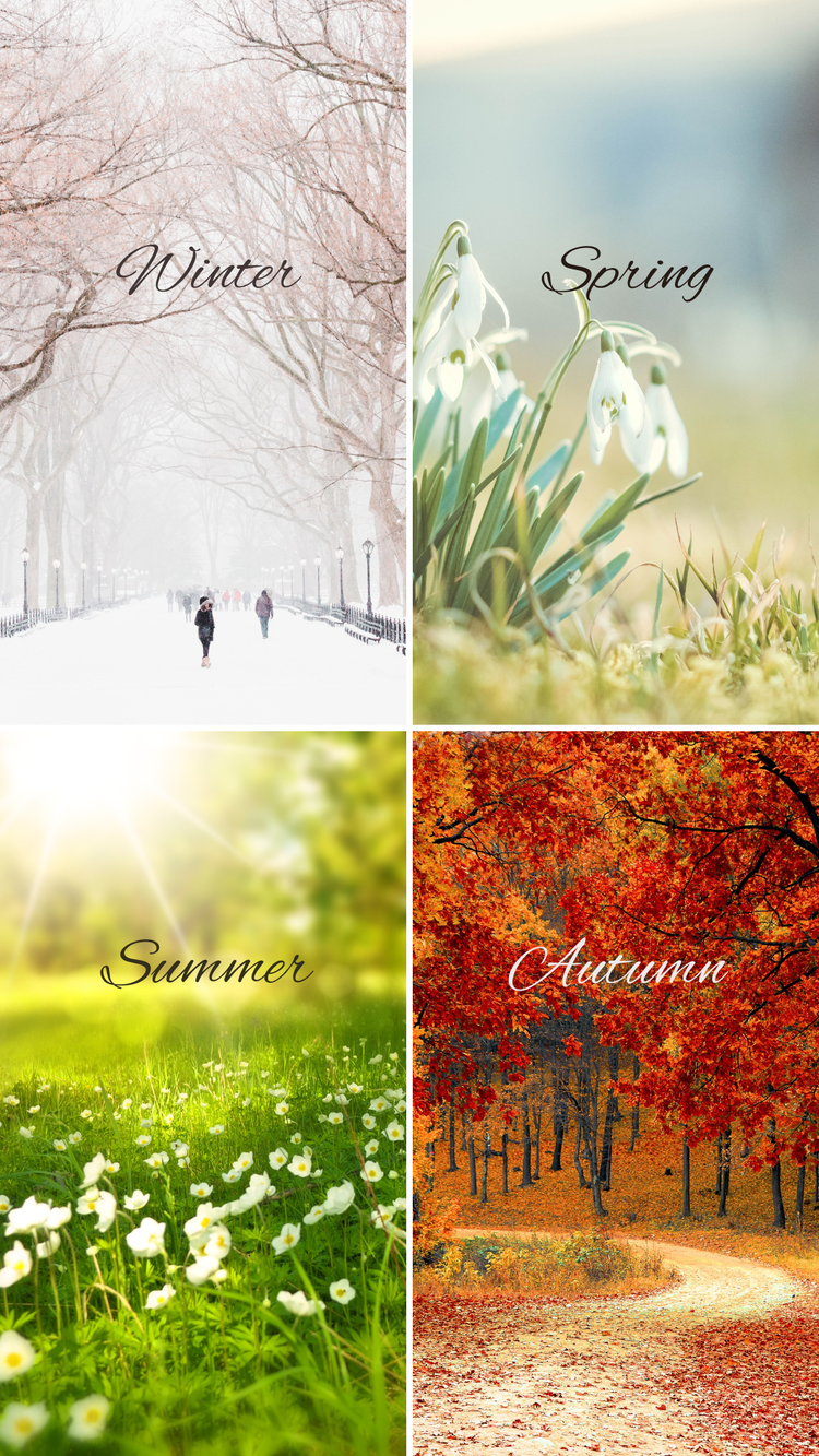 INTERESTING FACTS ABOUT ALL SEASONS! - Kahoot! Course