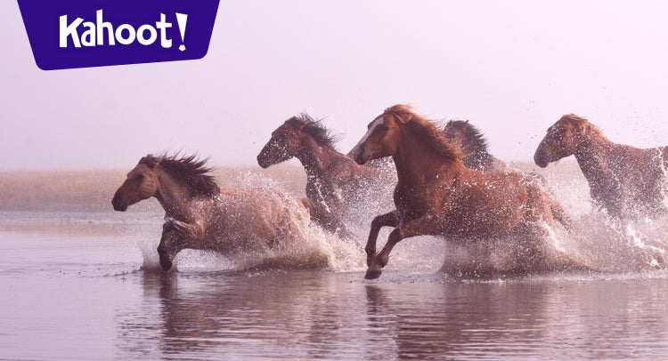 Psychology Social Influence - Kahoot! Quiz