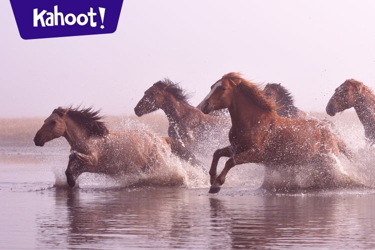 Psychology Social Influence - Kahoot! Quiz