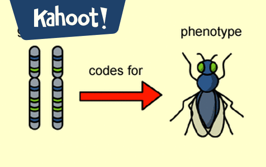 Genetics - Kahoot! Quiz
