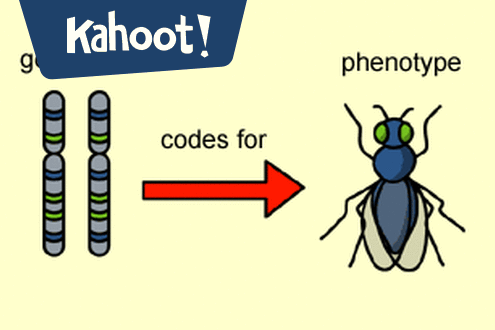 Genetics - Kahoot! Quiz