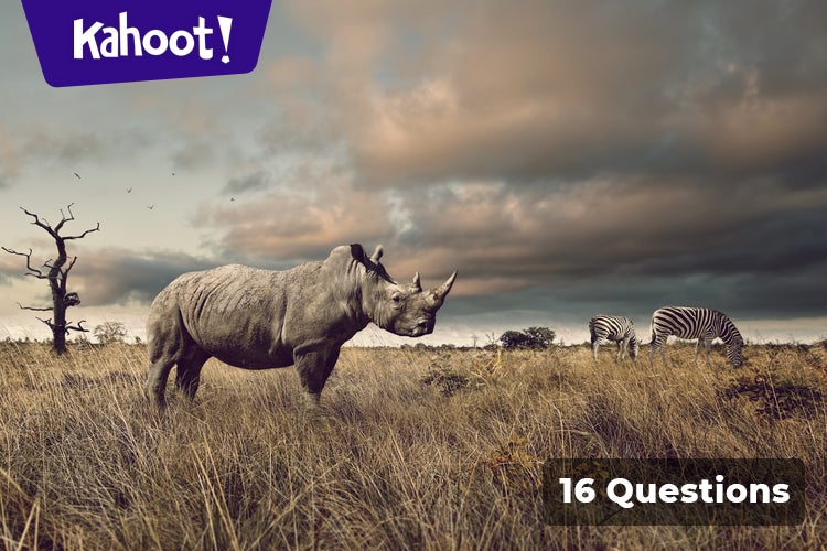 Unit 2 Animals and Insects - Kahoot! Quiz