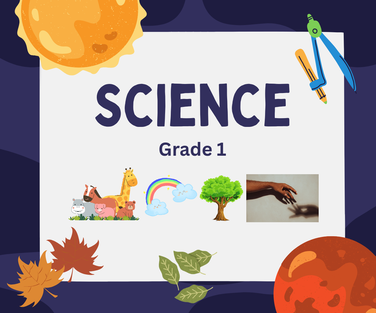 Exploring Our World: Grade 1 Science Adventure - Kahoot! Course