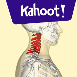 Upper Body Bone Anatomy - Kahoot! Quiz