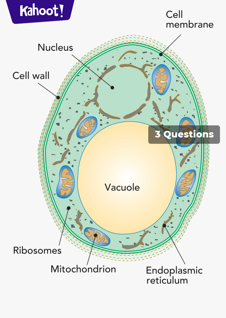 Cell Organelle - Kahoot! Quiz
