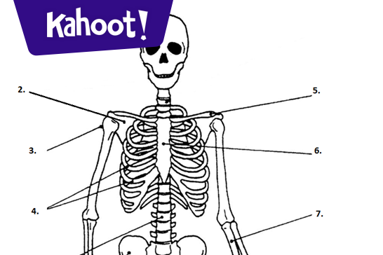 Naming the parts of the skeleton - Kahoot! Quiz