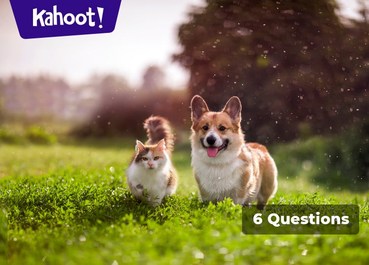 Animal Names - Kahoot! Quiz