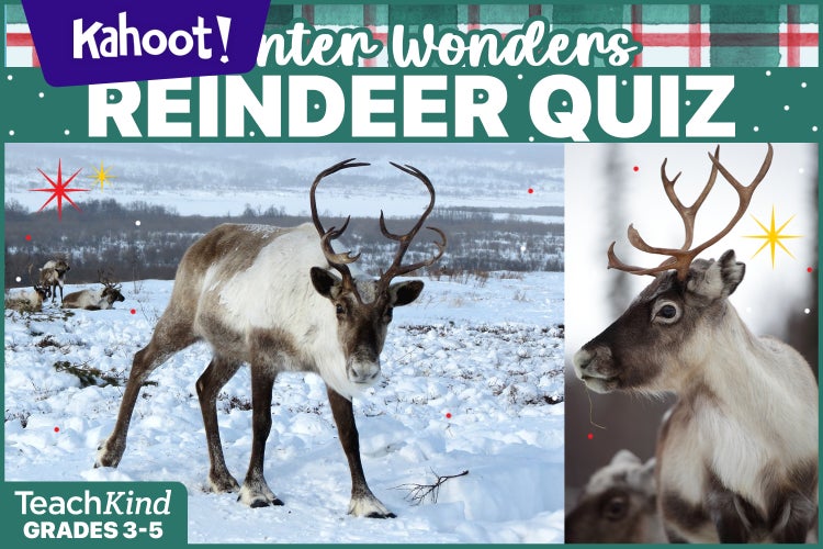 Winter Wonders: Reindeer Quiz - Kahoot! Quiz