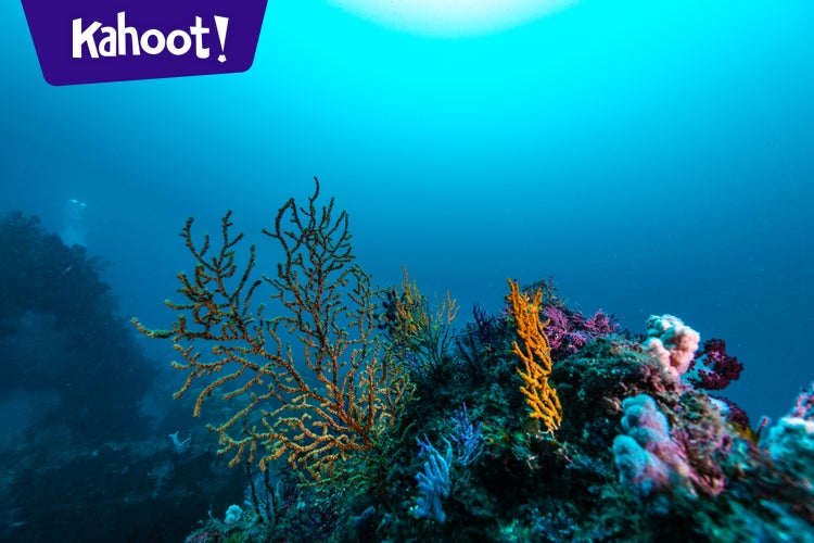 Oceanography: Geology of Ocean Basins [B] - Kahoot! Quiz