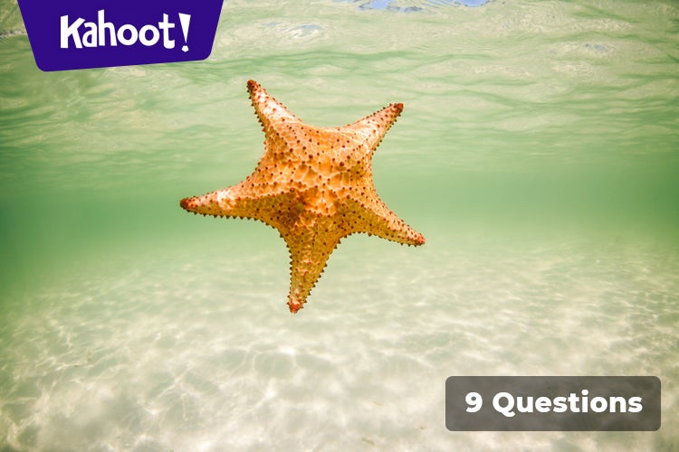 Identify the "arms" of the sea creatures! - Kahoot! Quiz