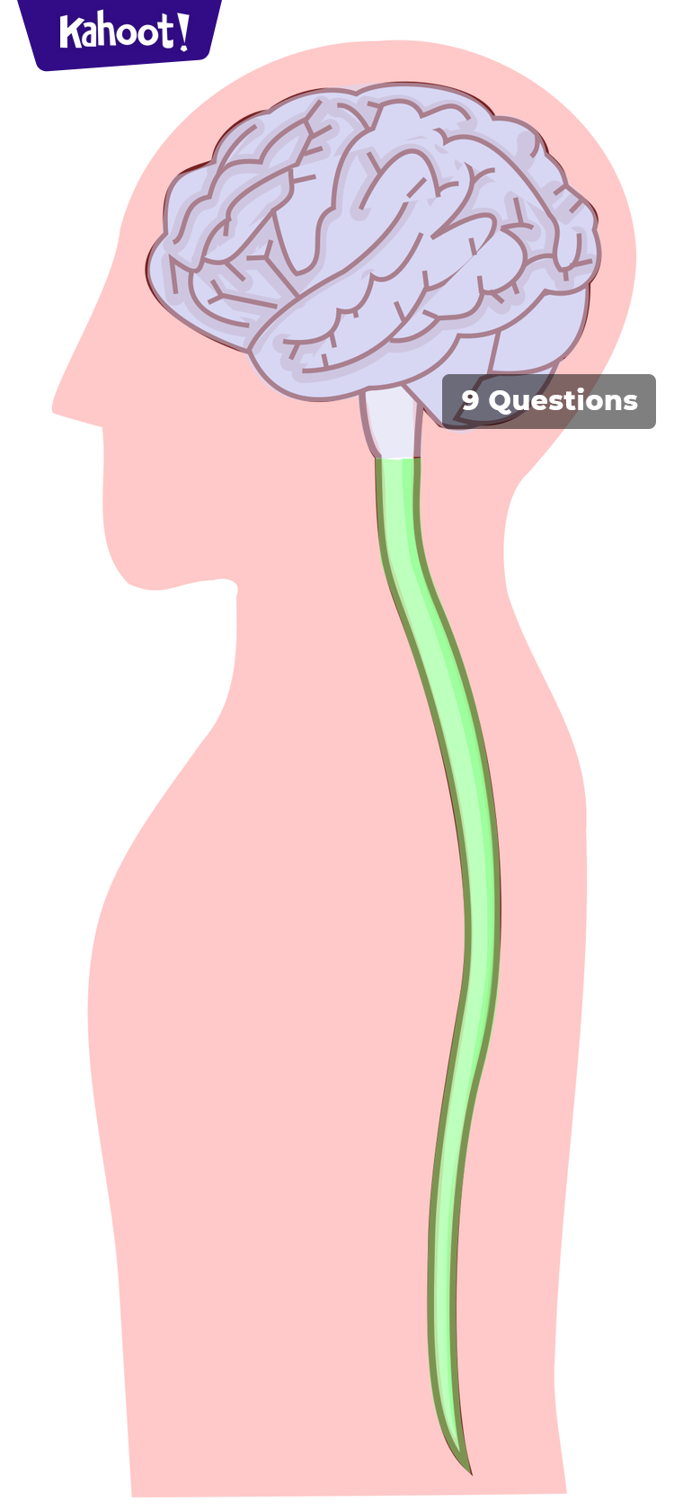 Your Nervous System - Kahoot! Quiz