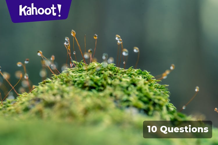 Duplicate of Plant Reproduction and dispersal - Kahoot! Quiz