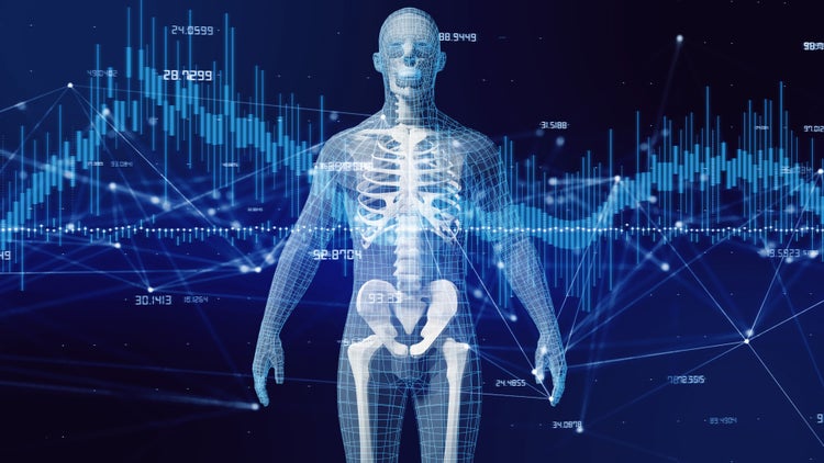 Anatomy - Kahoot! Course