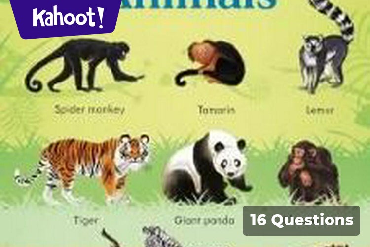 Ti piacciono gli animali dello zoo? - Kahoot! Quiz