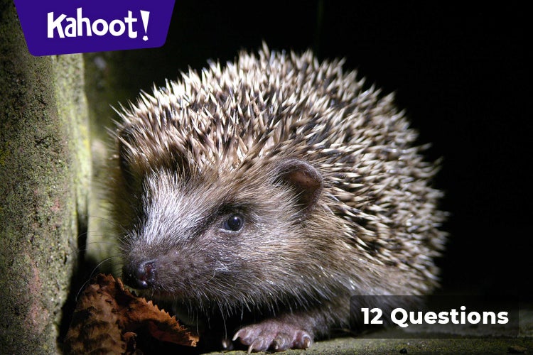 Special Animals - Kahoot! Quiz