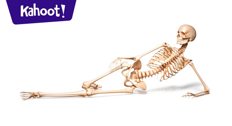 Skeletal System KS2 - Kahoot! Quiz